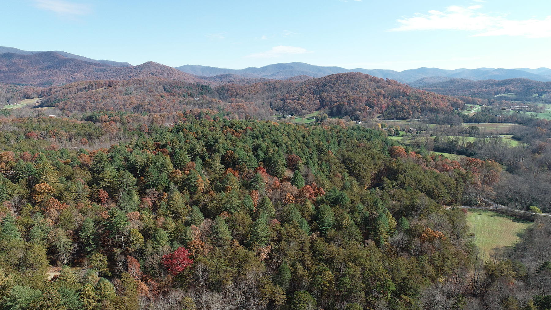 Lasso the Moon Alpaca Farm – Alpaca Farm, Gardening, Cooking, Felting ...