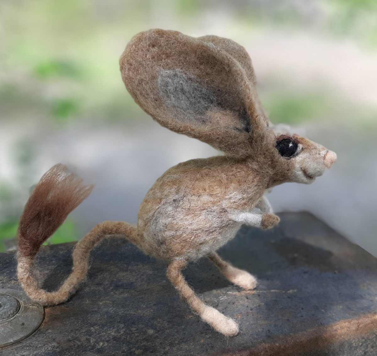 Needle Felting a Long Eared Jerboa Online Tutorial and Kit – Alpaca ...