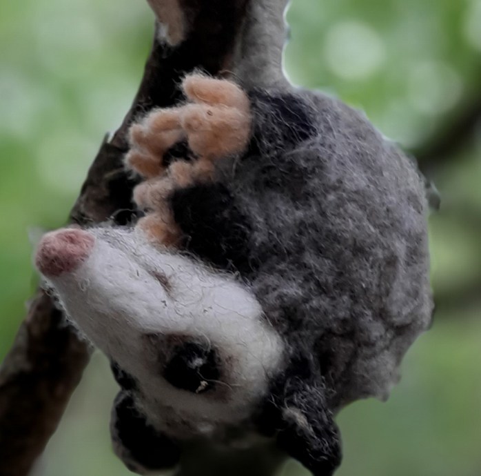 Crusty Cherry Walnut No Knead Sour Dough Bread – Alpaca Farm, Gardening ...