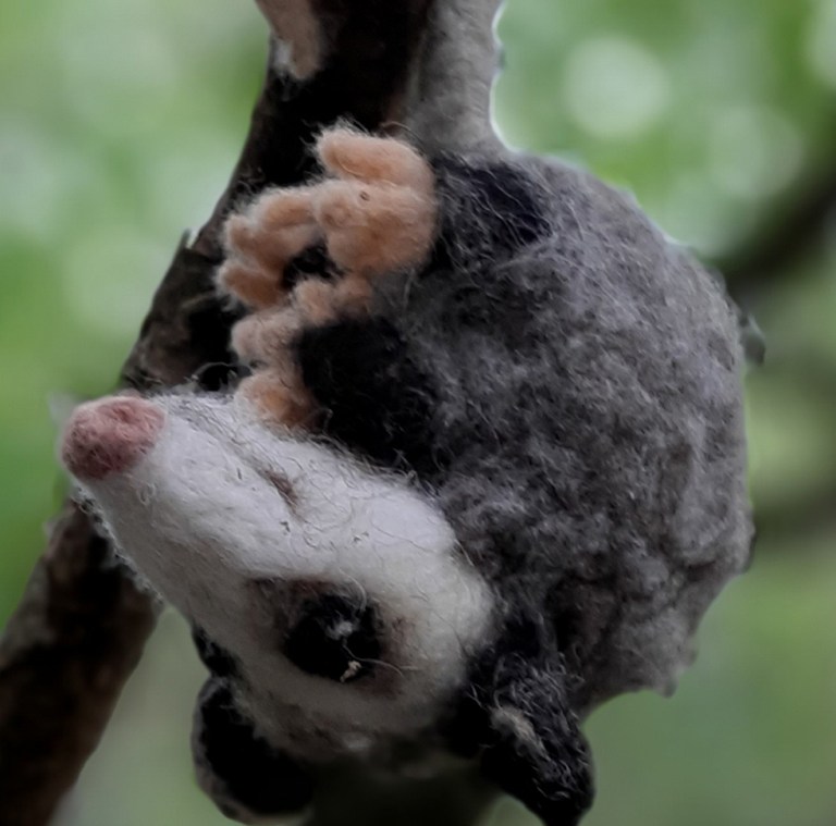 Crusty Cherry Walnut No Knead Sour Dough Bread – Alpaca Farm, Gardening ...