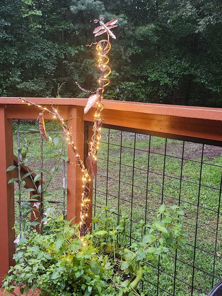 God’s Breath Energy Pole Class – Alpaca Farm, Gardening, Cooking ...